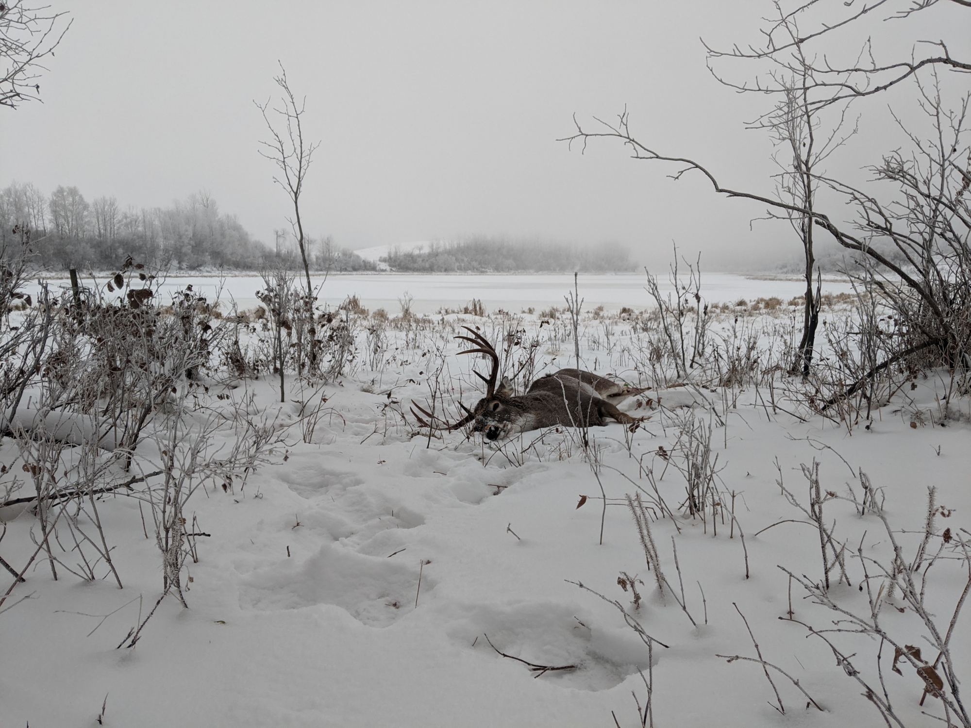 The Wasteful Buck | Tyson Goes Outside