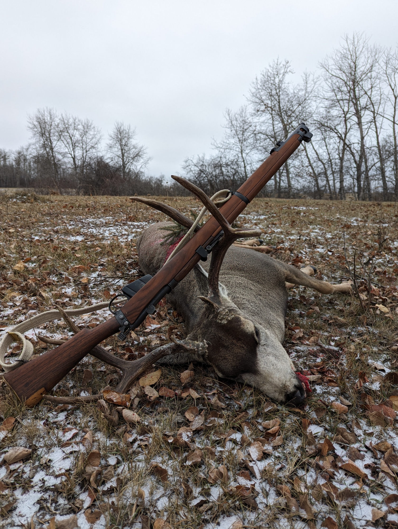 Dumb Luck Buck | Tyson Goes Outside